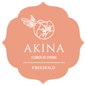 Akina - Kajang 2 Township by MKH Berhad